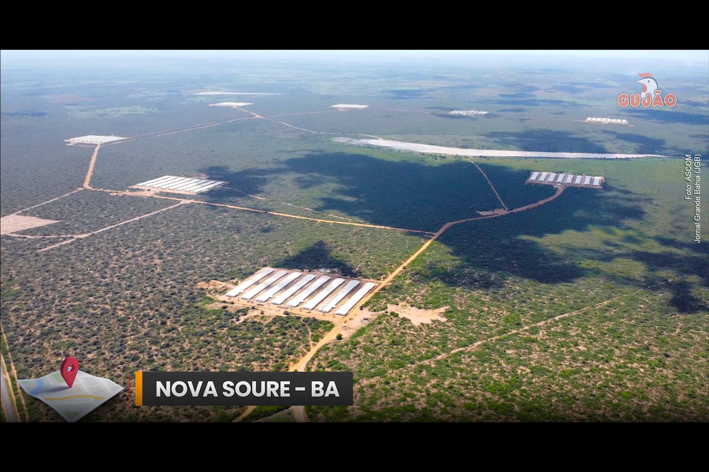 Conheça o megaprojeto de produção de frango da Gujão em Nova Soure ...