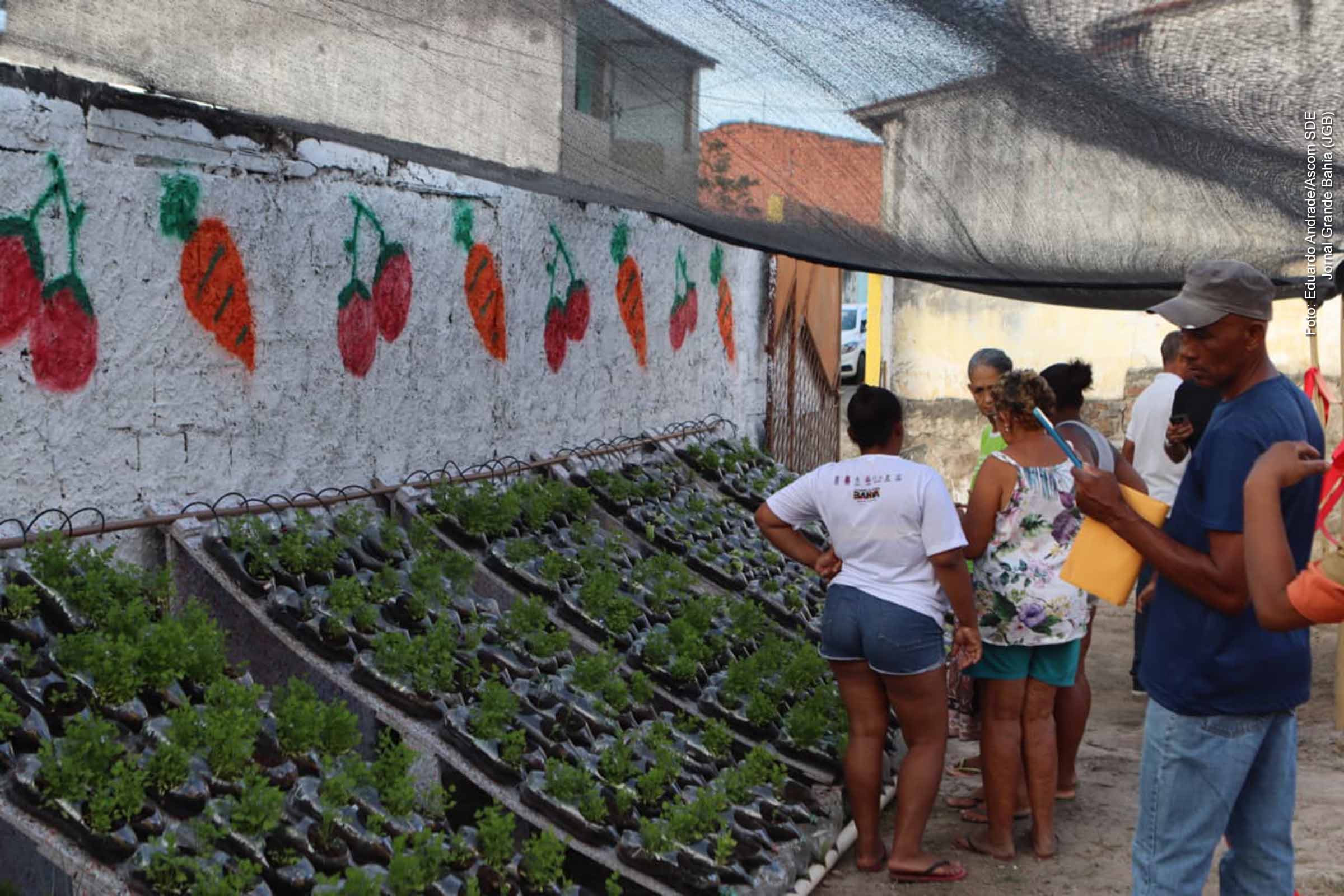Parceria entre Governo da Bahia e Solar Coca-Cola inaugura primeira ...