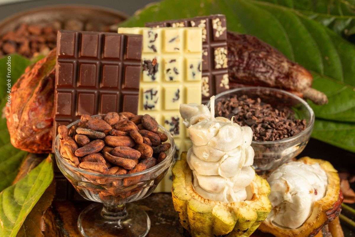 Nova lei do chocolate amplia transparência nos rótulos e fortalece ...